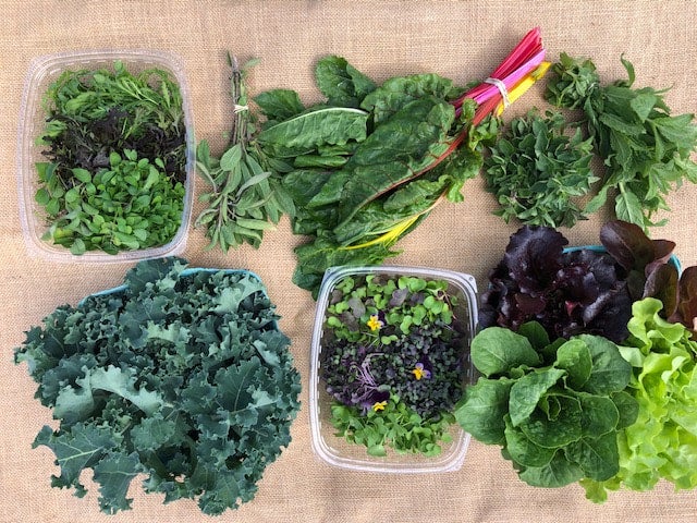 2025 Spring CSA Share FAMILY SIZE (10 weeks March 27th-May 29th)